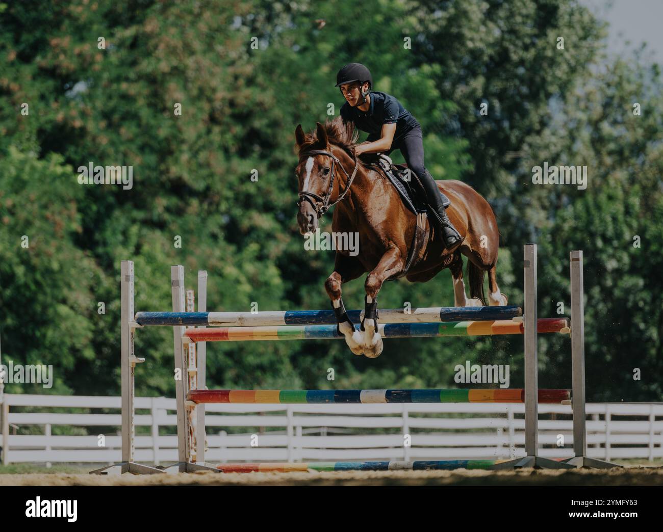 Horse jumping scene hi-res stock photography and images - Alamy