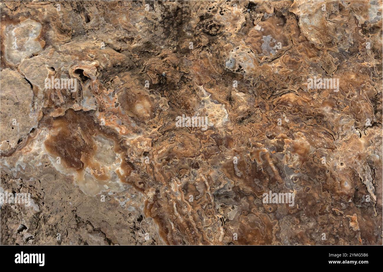 Cambrils, Tarragona, Spain - November 21st 2024 - Natural rock ...