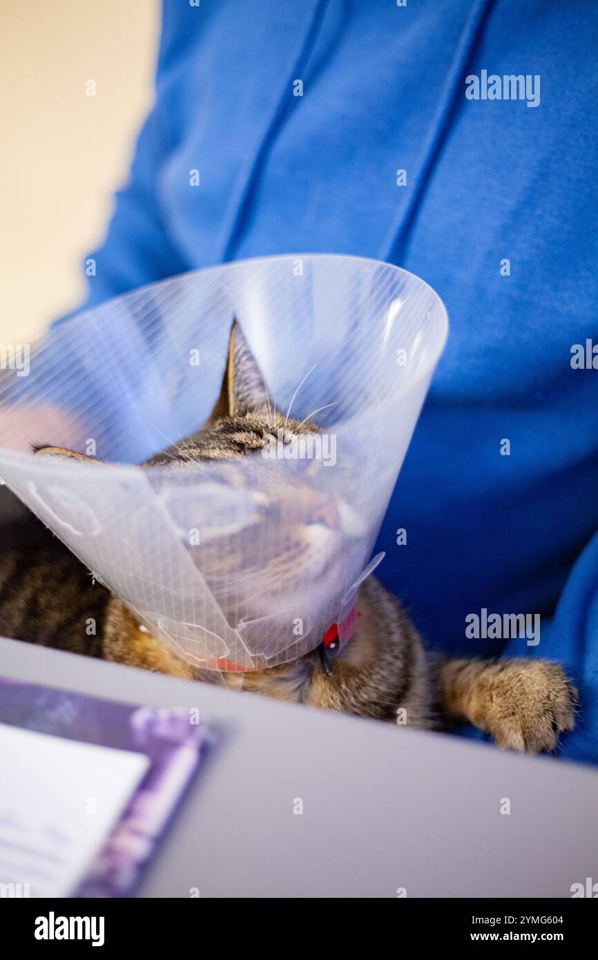 Postoperative polyuria or polydipsia hi-res stock photography and ...