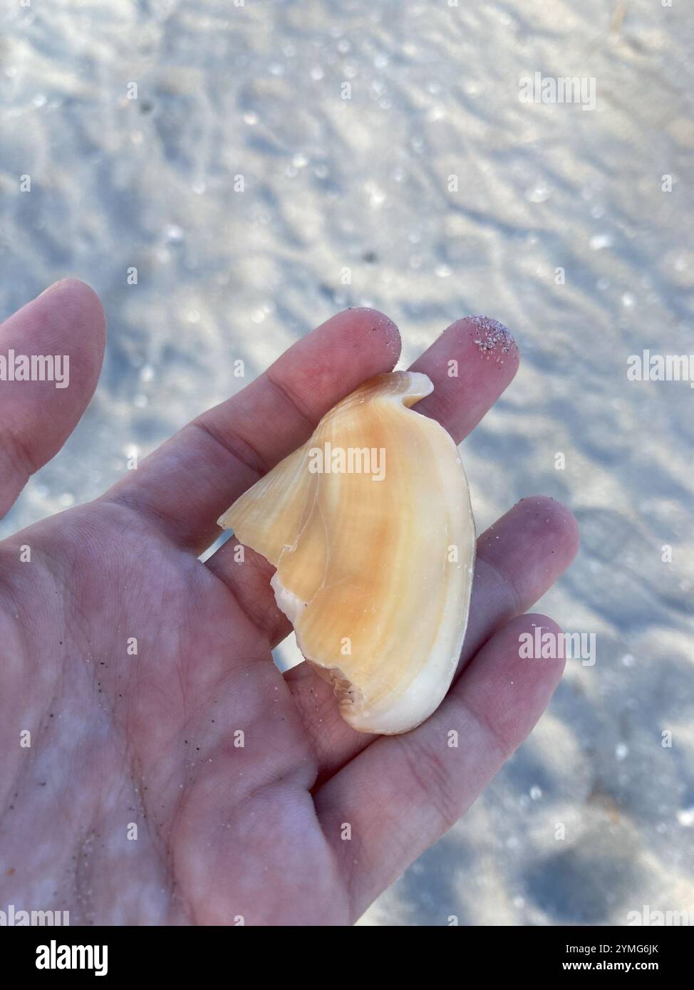 Pugilis hi-res stock photography and images - Alamy