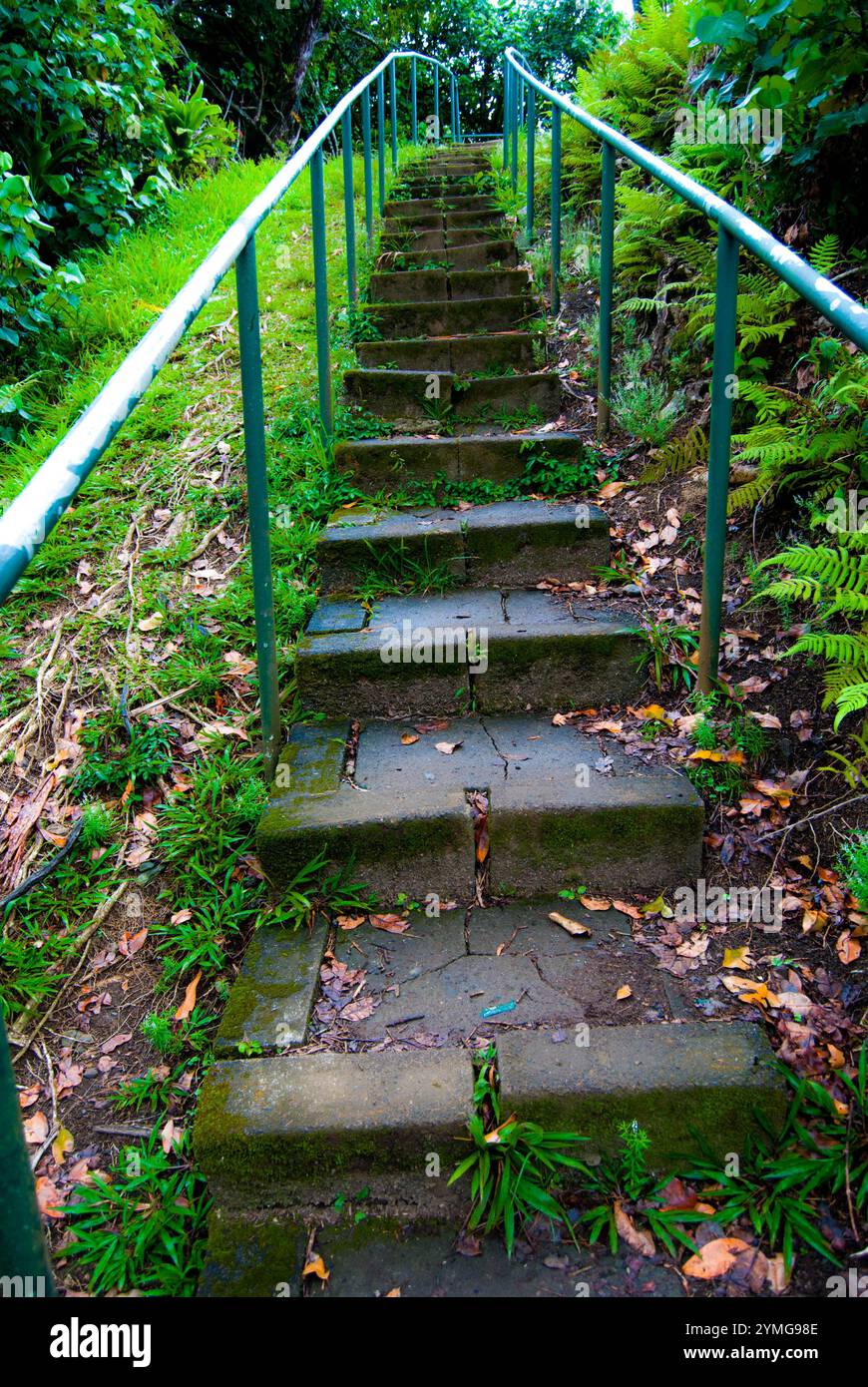 Stairs In The Park, Maui, Hawaii Stock Photo - Alamy