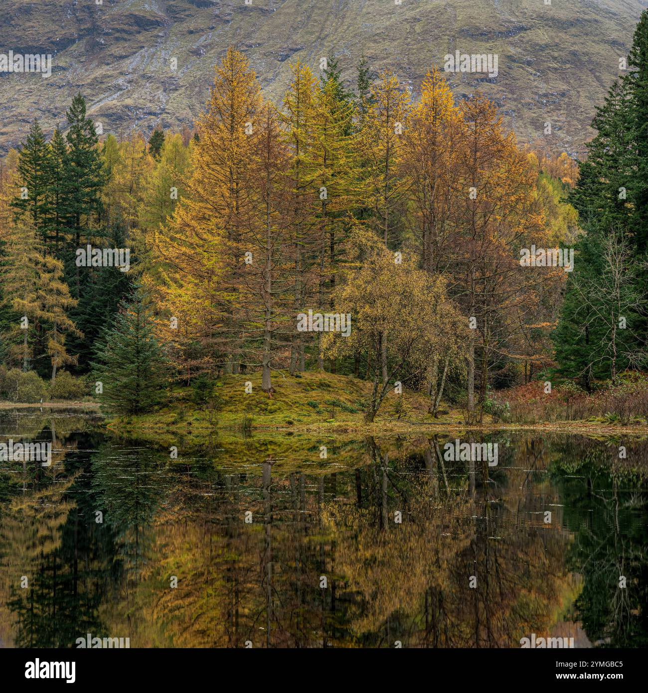 Torren lochan glencoe hi-res stock photography and images - Alamy