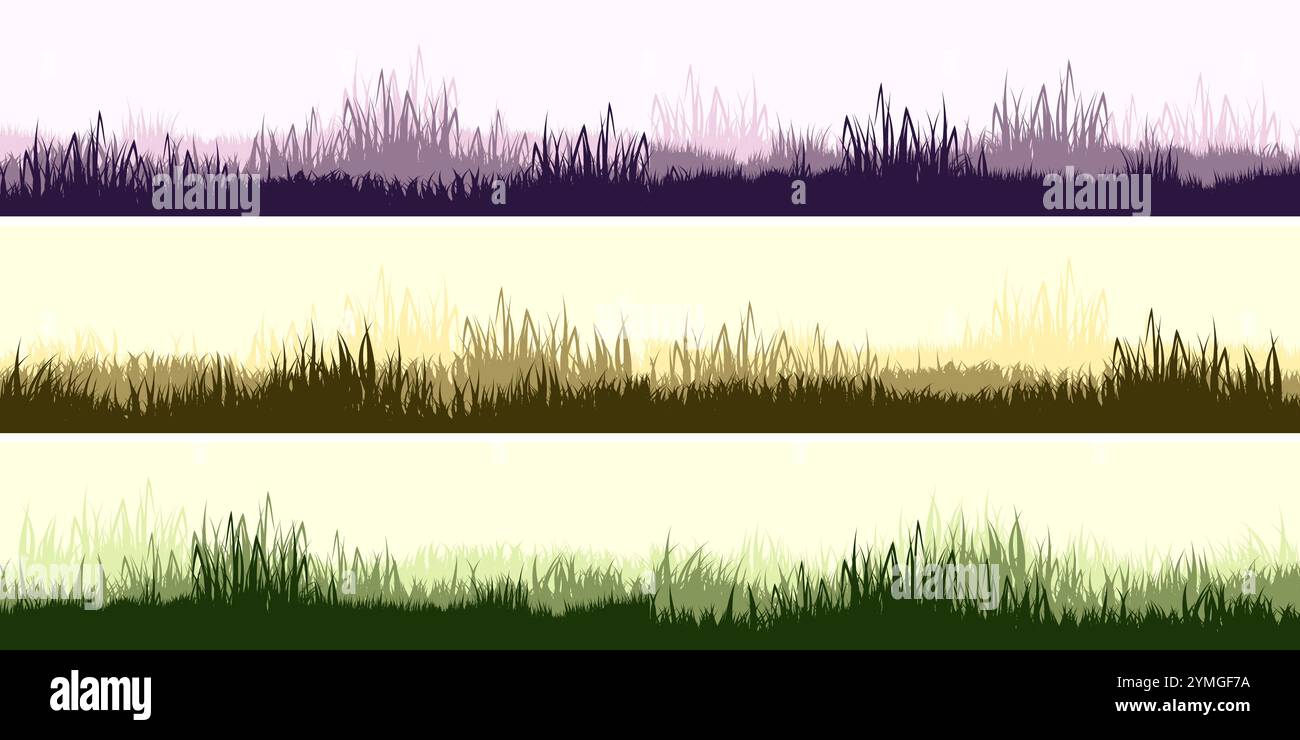 Meadow silhouettes with grass, plants on plain. Panoramic summer lawn ...