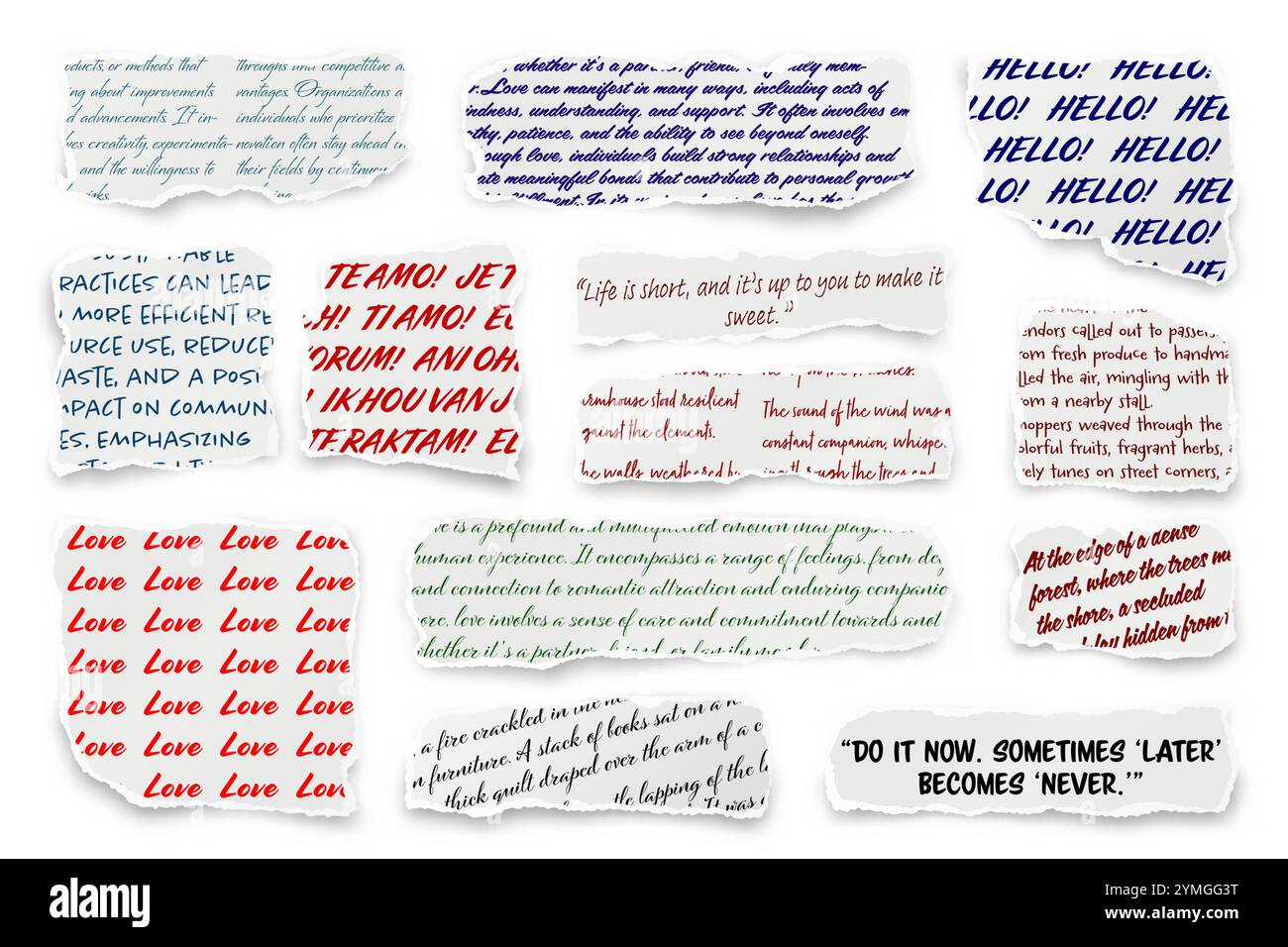 Ripped paper strips with handwritten text. Realistic crumpled paper ...