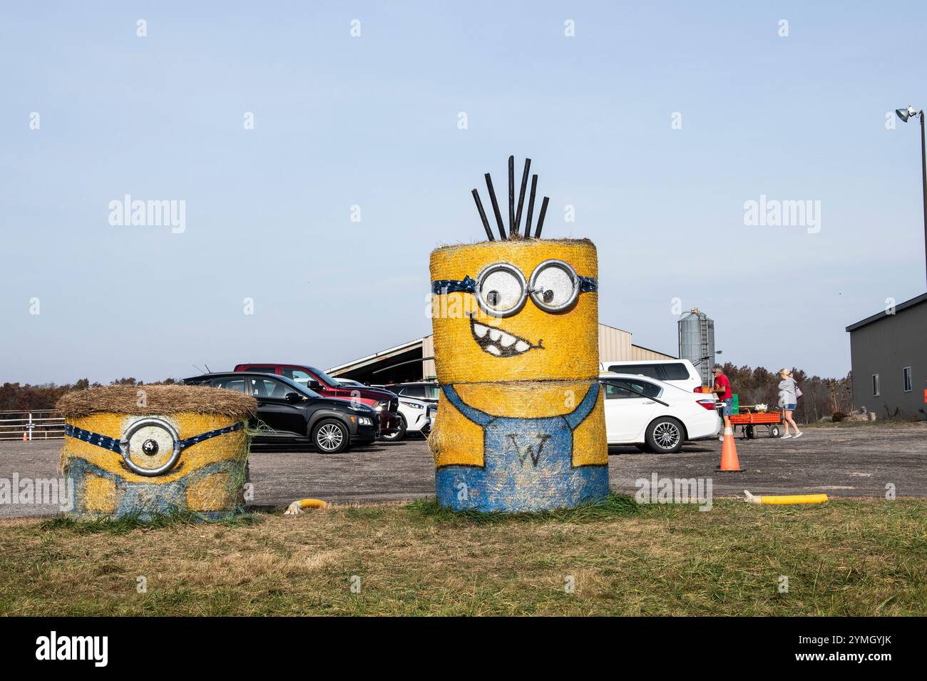 Hay Minions at Warner Ranch and Pumpkin Farm on Schisler Road in ...