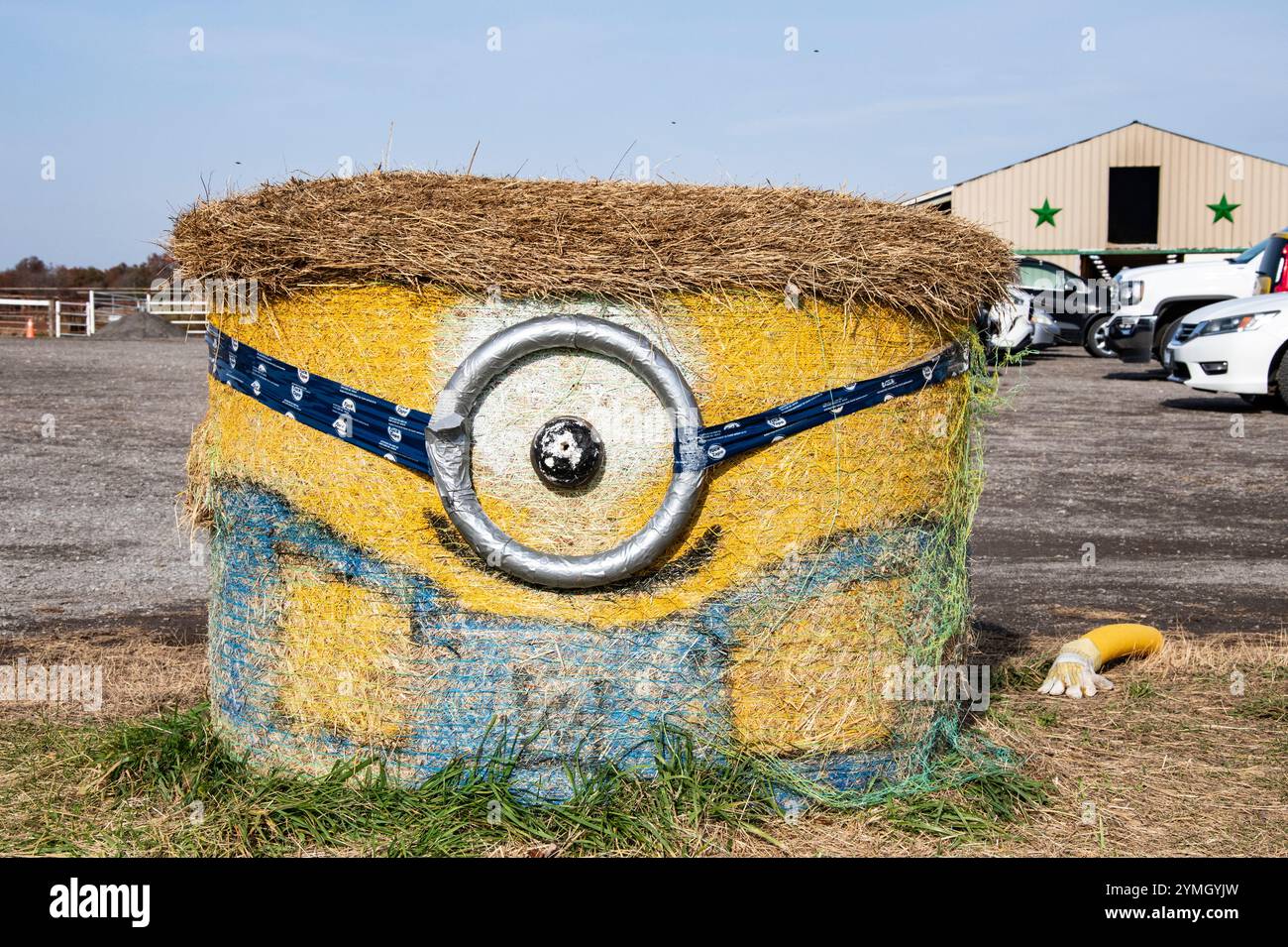 Hay Minions at Warner Ranch and Pumpkin Farm on Schisler Road in ...