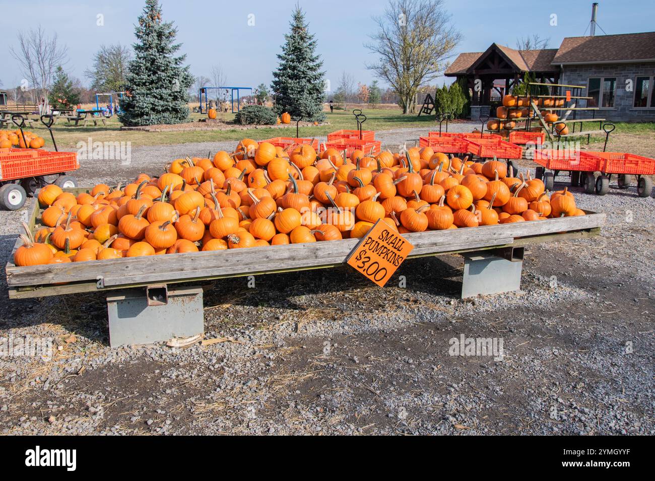 Pumpkin carts hi-res stock photography and images - Alamy