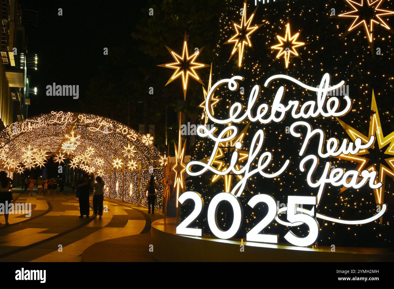 Light bulb stars and Christmas tree decorate on Celebration 2025 at ...