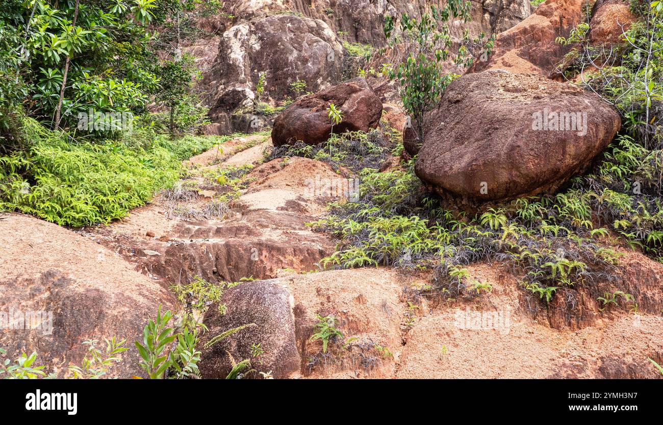 Brown rocks boulders in a jungle mud tropical landscape malaysia Stock ...