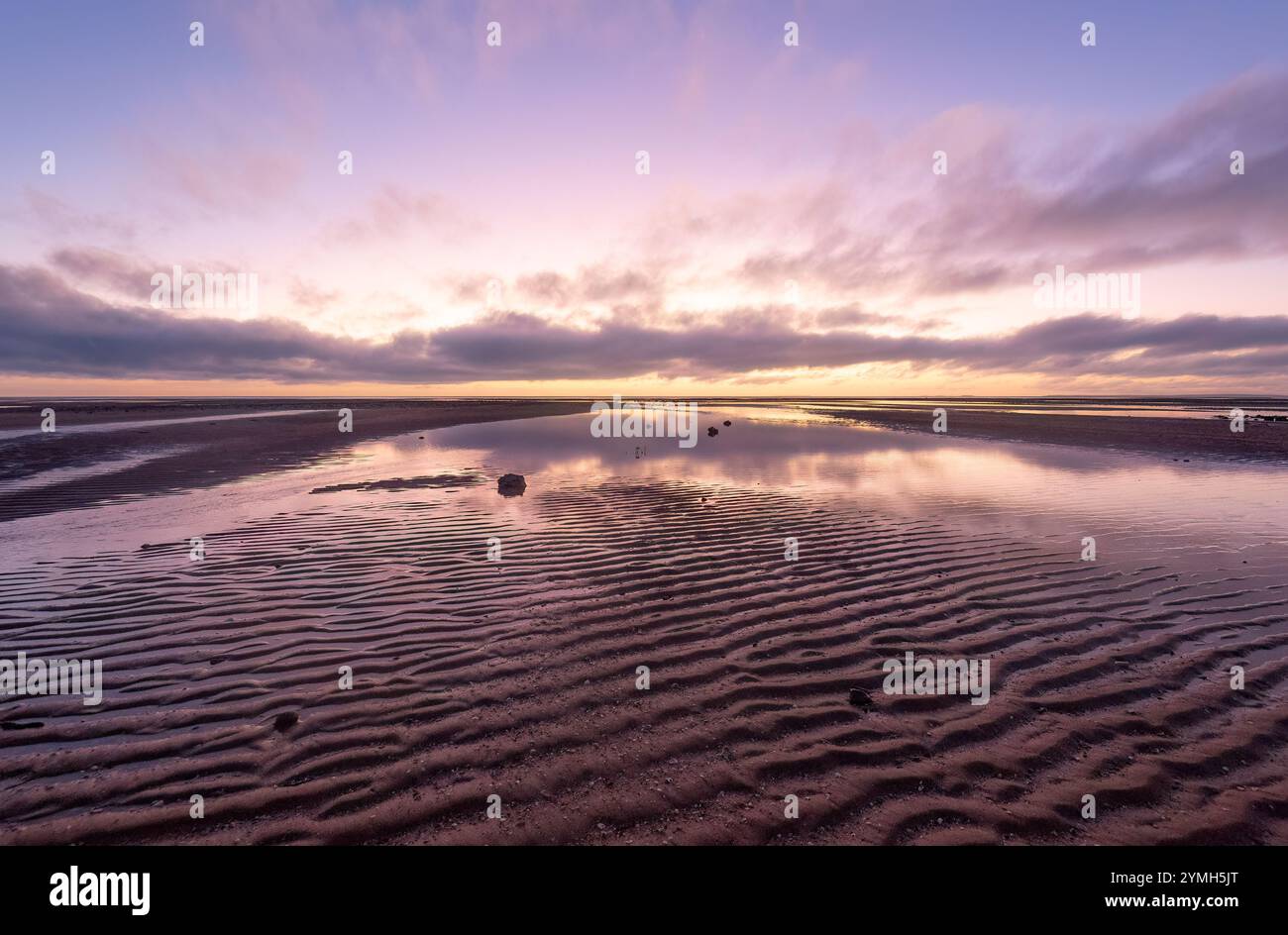 Spectacular pink sunrise reflected on sand ripples, Carmila Beach ...