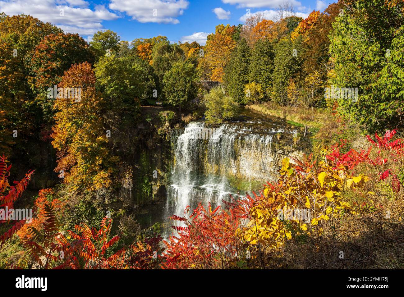 Spencer hamilton hi-res stock photography and images - Alamy