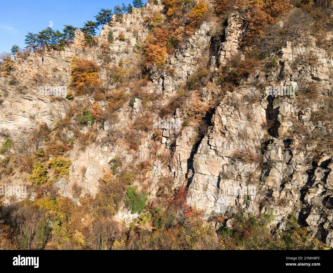 Aerial Autumn view of Rhodope Mountains around Chepelarska River (Chaya ...