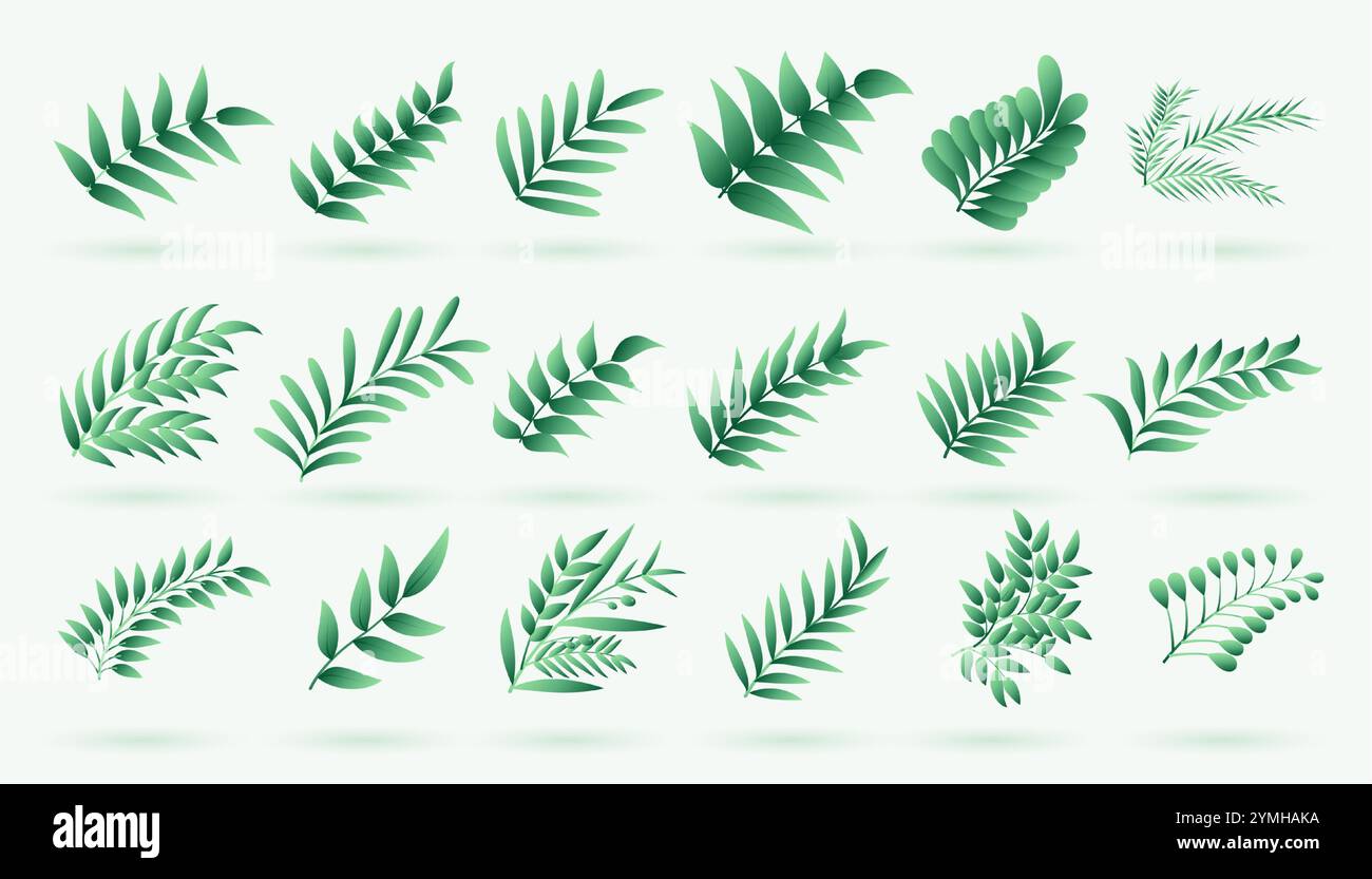 Tropical greenery design Stock Vector Images - Alamy