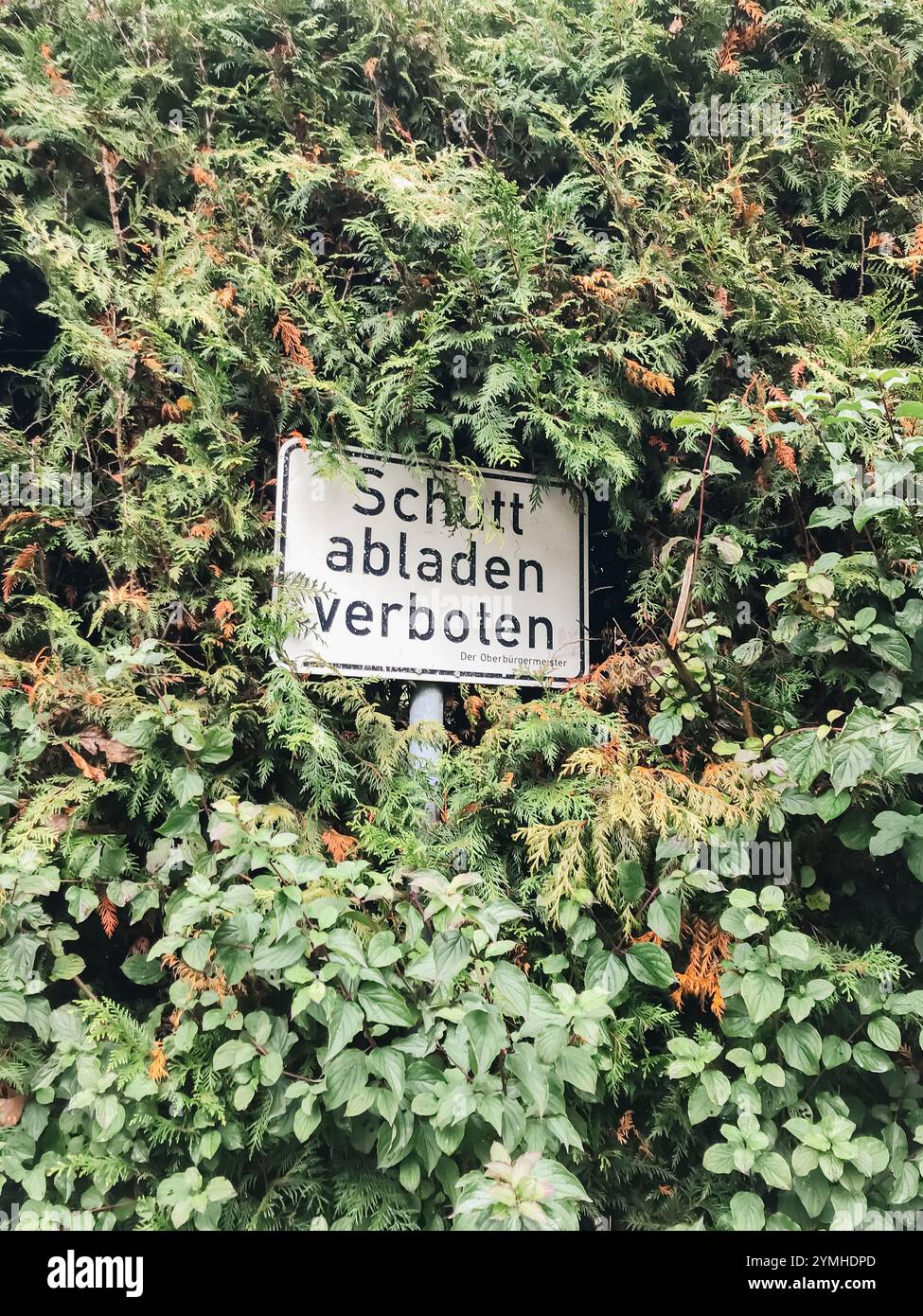 A sign is hidden behind a bush. The sign says dumping of garbage is ...