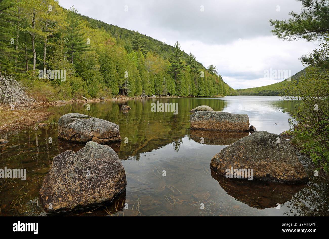 Rocks in Eagle Lake - Acadia National Park, Maine Stock Photo - Alamy
