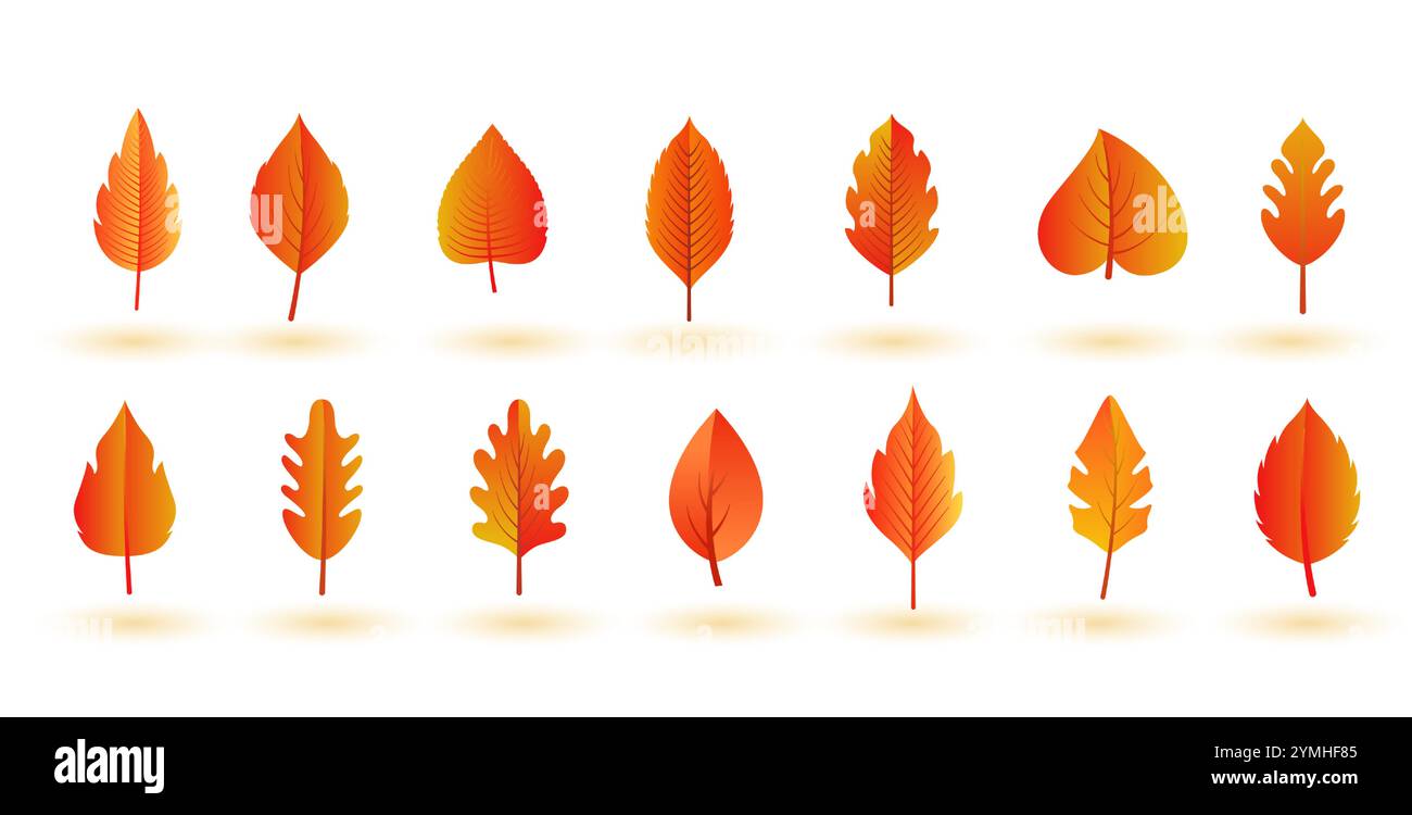 pack of flat autumn leaves element background design vector Stock ...