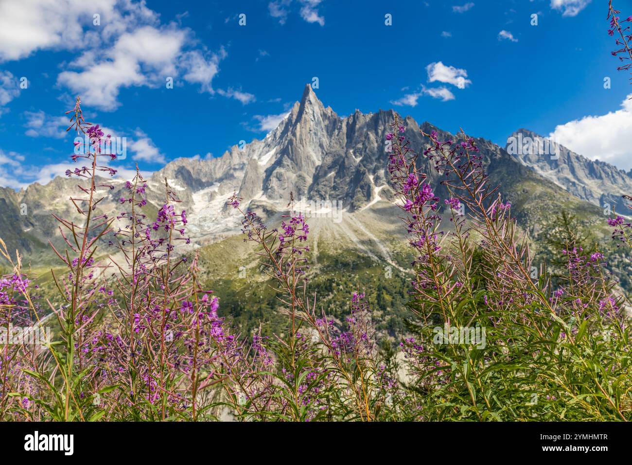 Petit Dru granite mountain wall and summit in Chamonix valley, french ...