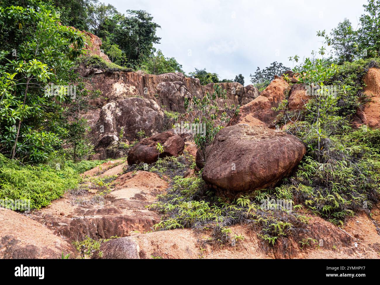 Brown rocks boulders in a jungle mud tropical landscape malaysia Stock ...