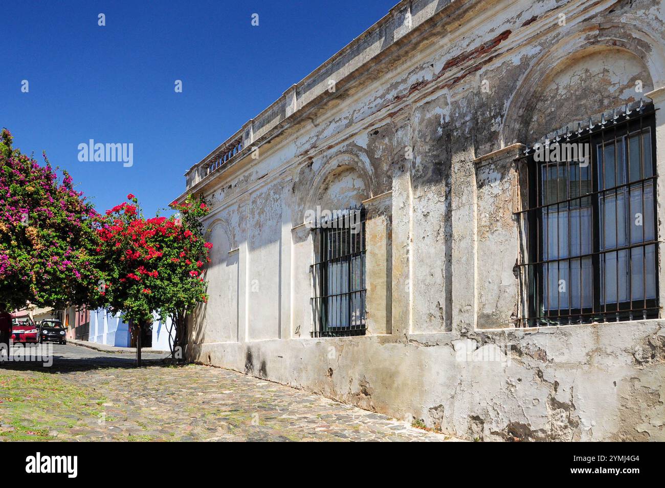 Colonial Architecture with Bougainvillea in Colonia del Sacramento ...