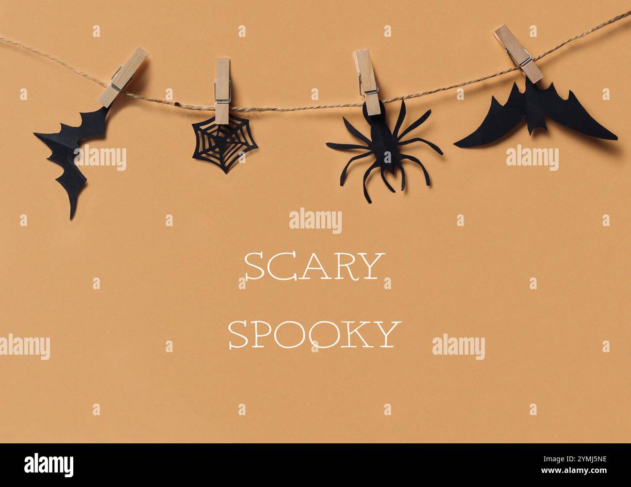 Spider themed logo hi-res stock photography and images - Alamy