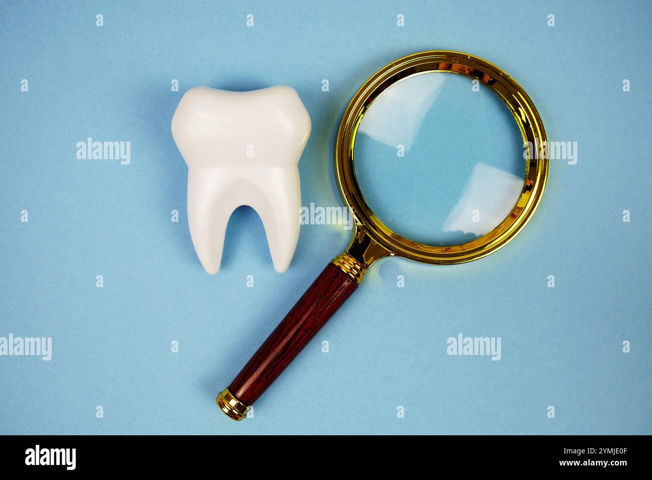 Magnifying glass with white tooth model Dental Health concept Stock ...