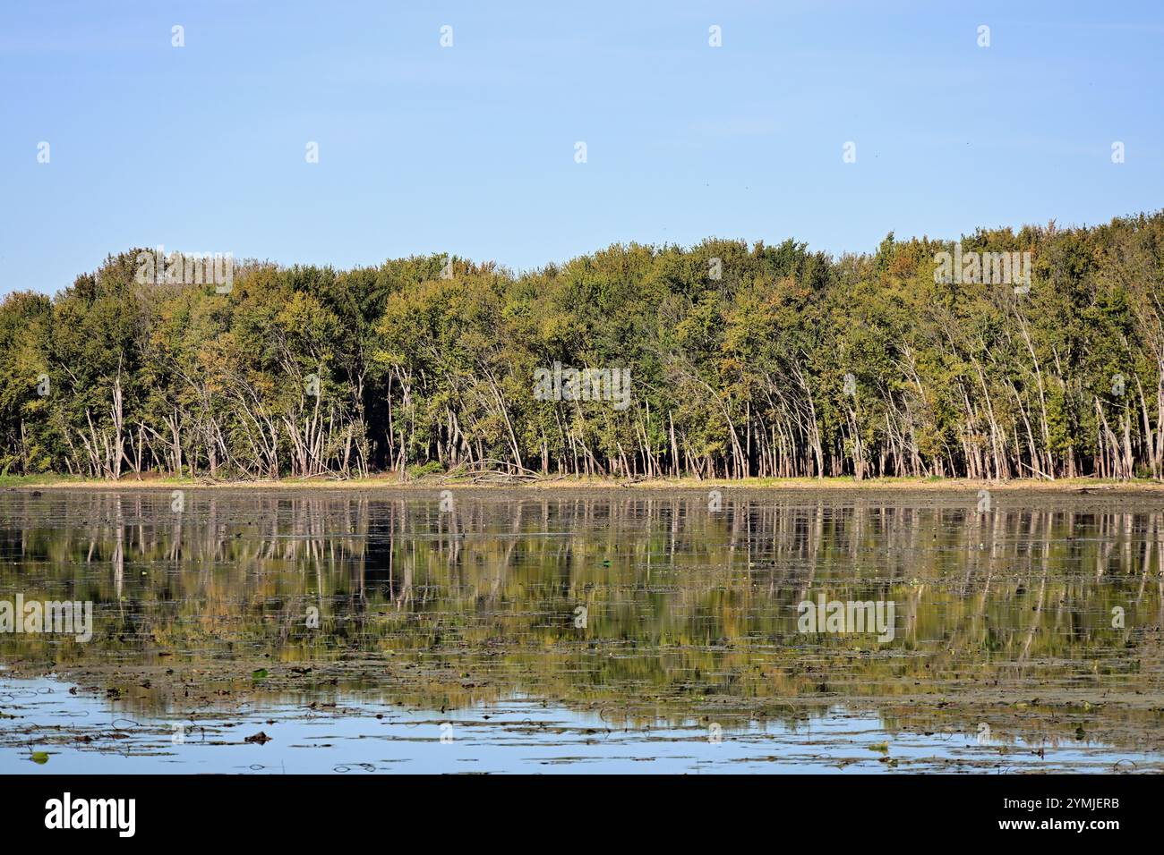 Illinois landscape hi-res stock photography and images - Alamy
