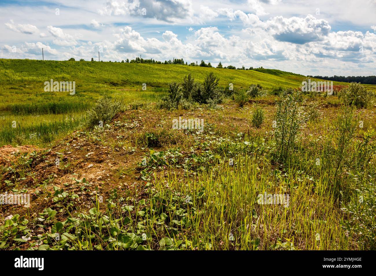 Quarry overgrown hi-res stock photography and images - Alamy