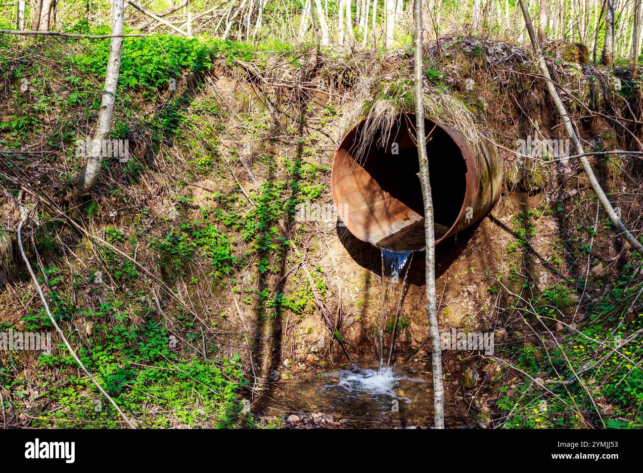 An iron pipe coming out of the ground in the forest from where a stream ...