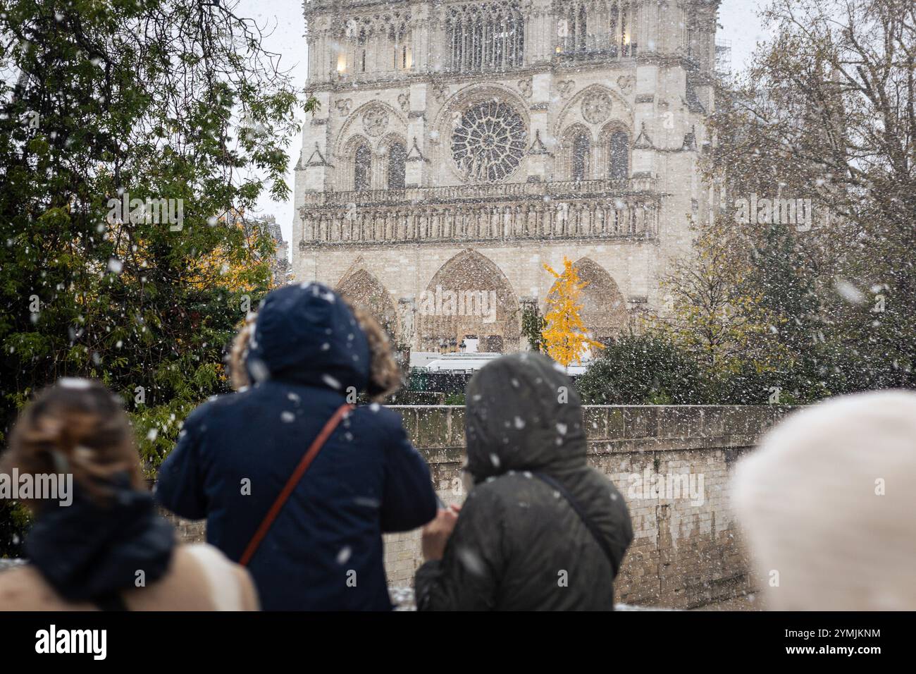 Paris, France. 21st Nov, 2024. View of the main faÁade of Notre Dame ...