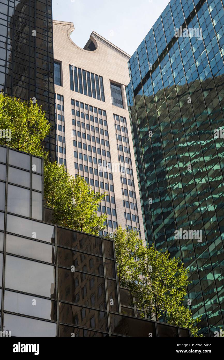 The Sony building as seen from fifth Avenue with Trump Tower staircase ...
