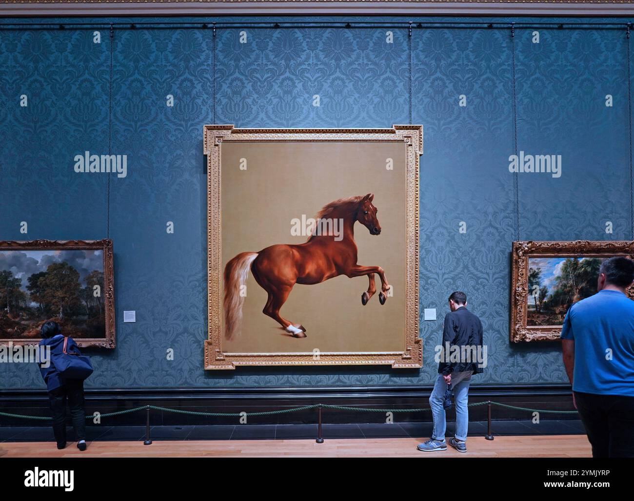 London, UK - Sept. 22, 2024, National Gallery of Art, Whistlejacket by ...