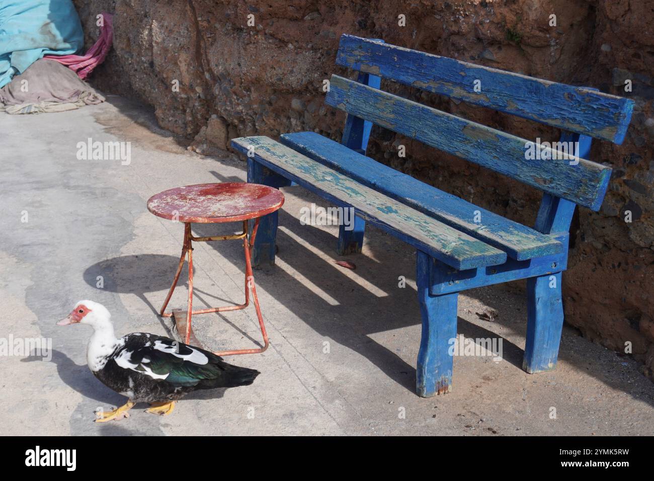 Still Life with Bench, Table and Duck Stock Photo - Alamy