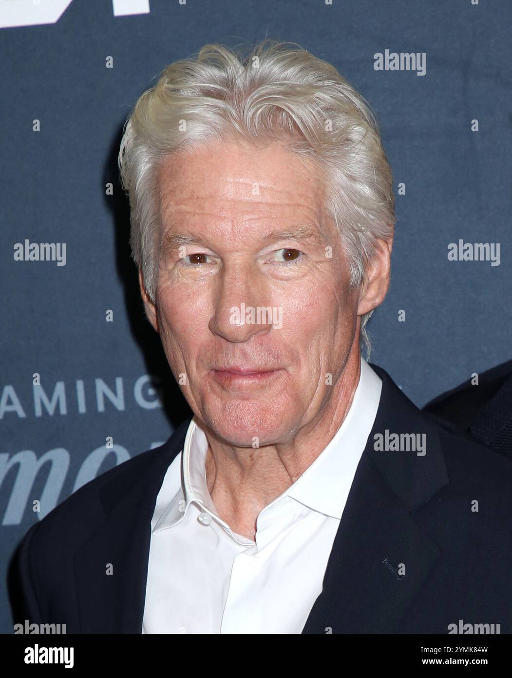 New York City, USA. 21st Nov, 2024. Richard Gere attending 'The Agency ...