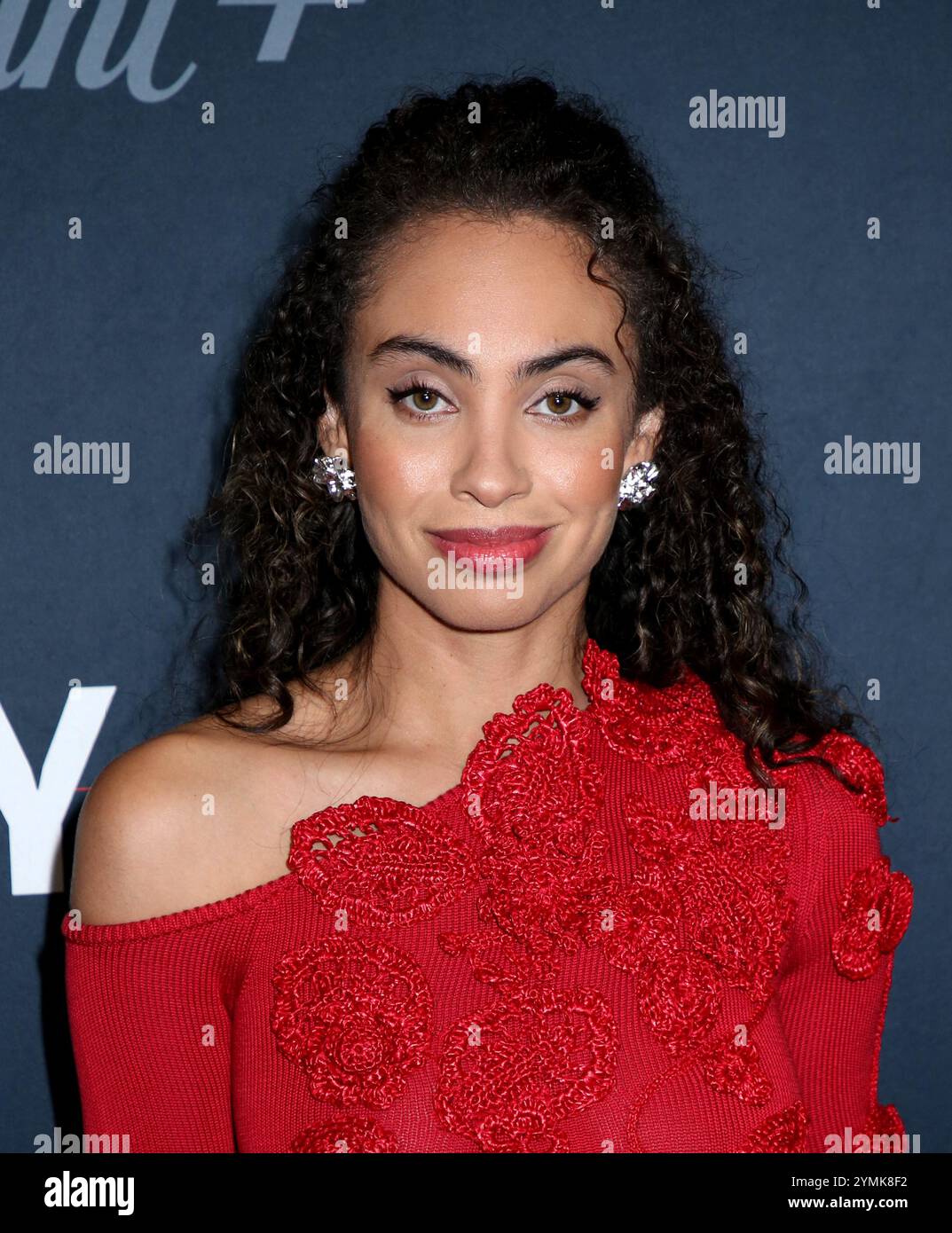 New York City, USA. 21st Nov, 2024. Marissa Hill attending 'The Agency ...