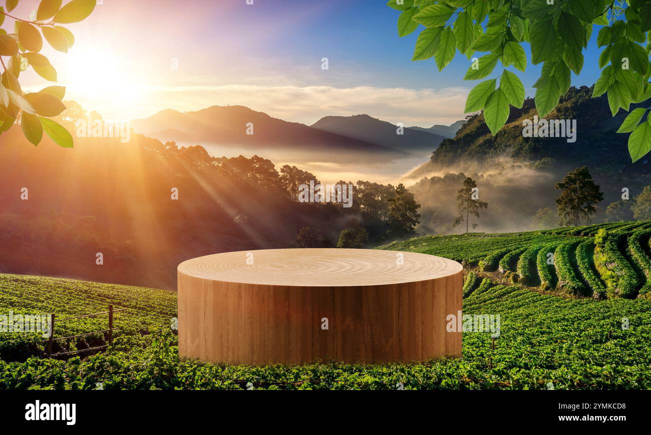 Tree Table wood Podium in farm display for food, perfume, and other ...