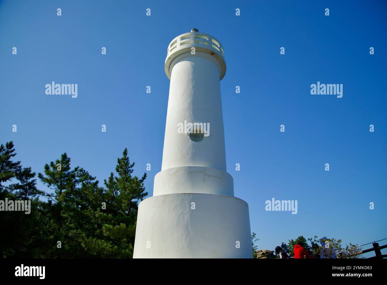 Yangyang County, South Korea - November 3, 2024: A close-up view of the ...