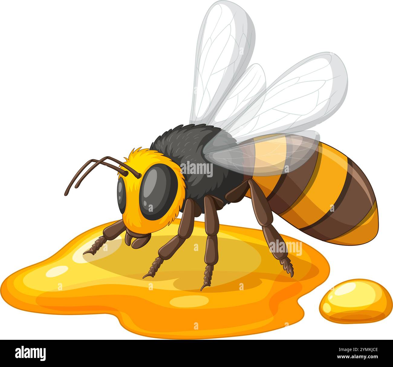 Golden honey pool Stock Vector Images - Alamy