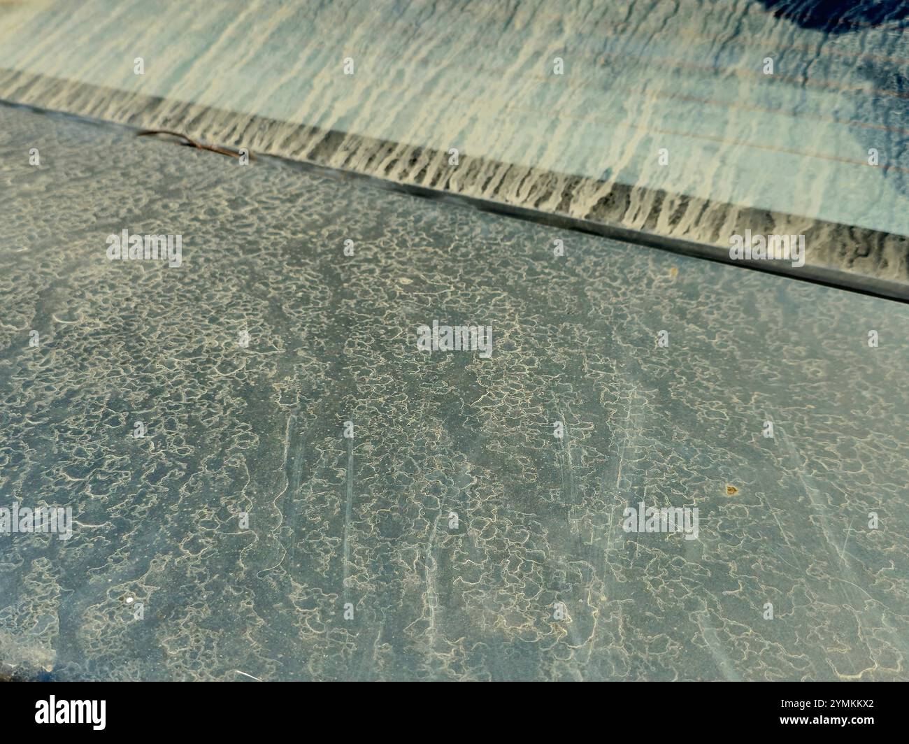 Needs to be washed hi-res stock photography and images - Alamy