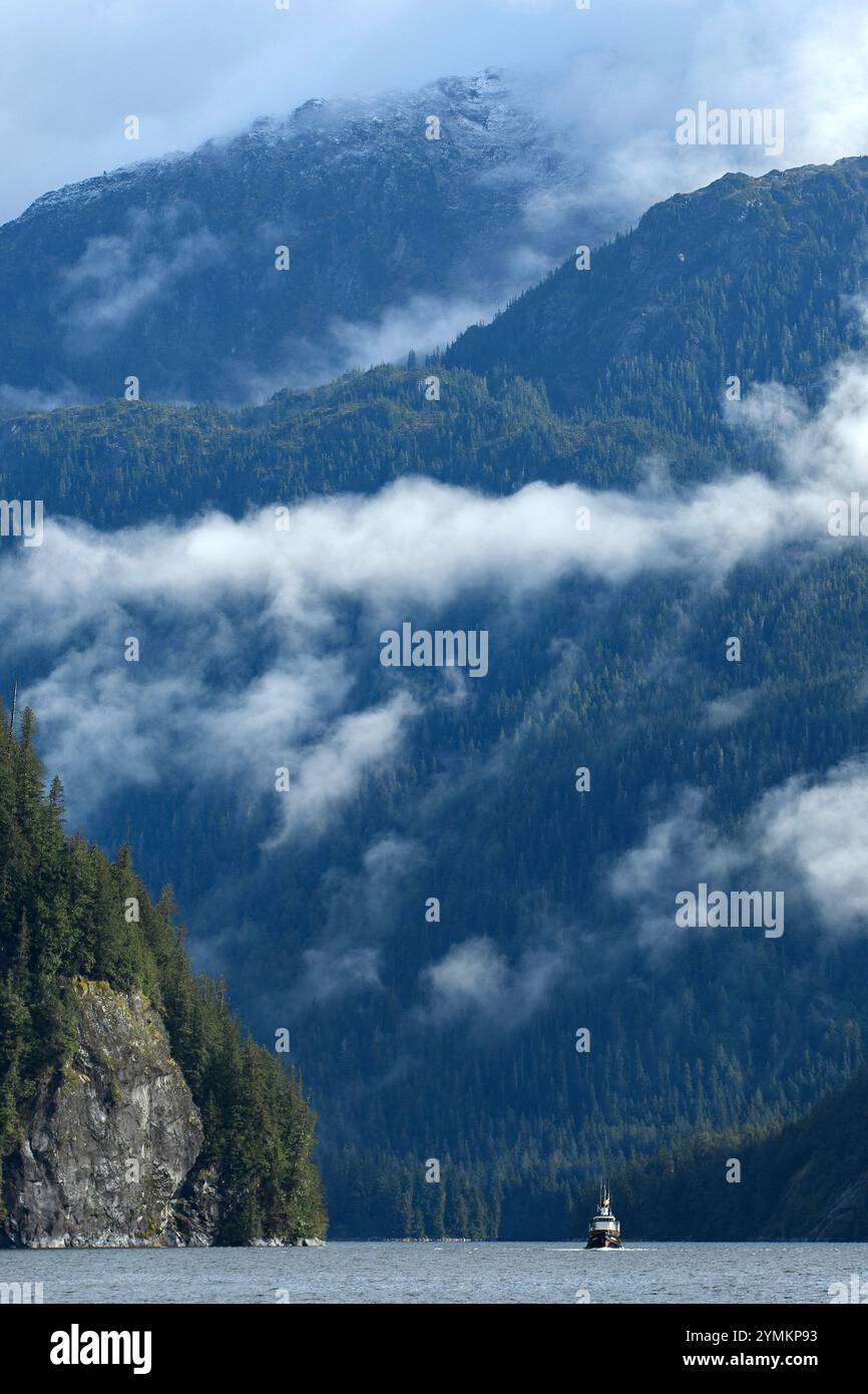Canada, British Columbia, Central Coast, Great Bear Rain Forest ...
