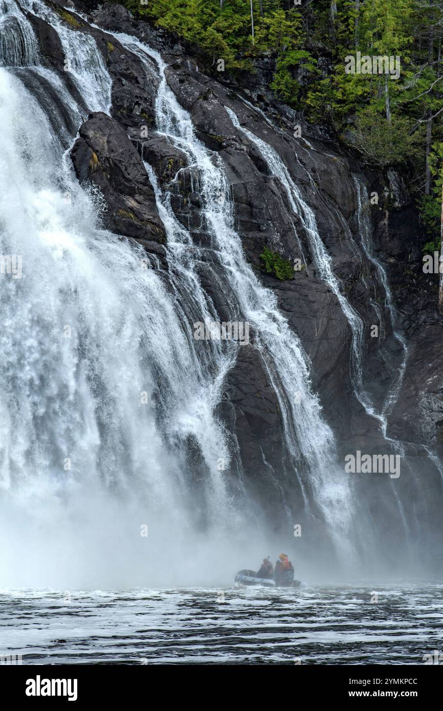 Canada, British Columbia, Central Coast, Great Bear Rain Forest Stock ...