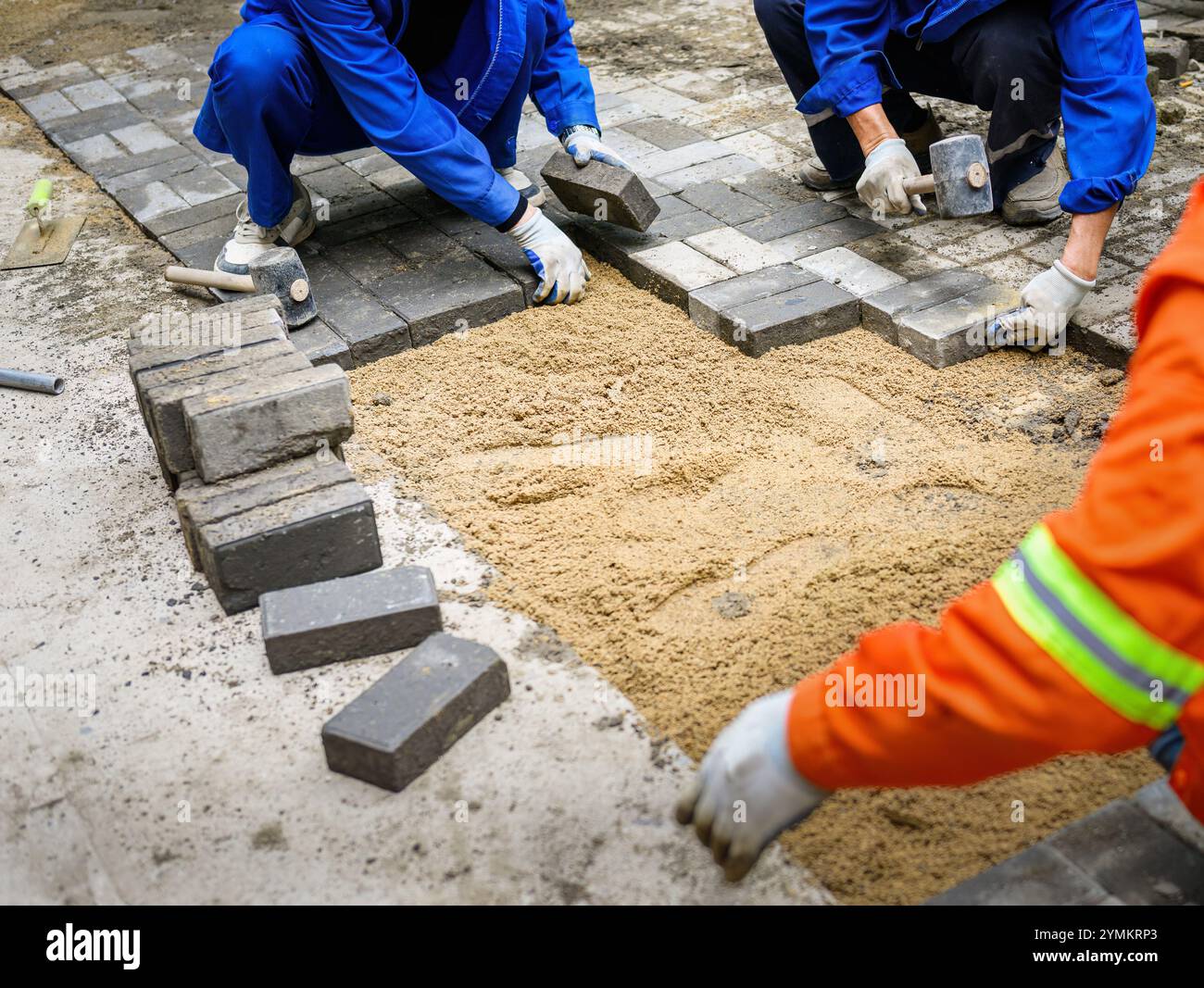 Workers laying brick pavers on the sidewalk. Road paving and ...