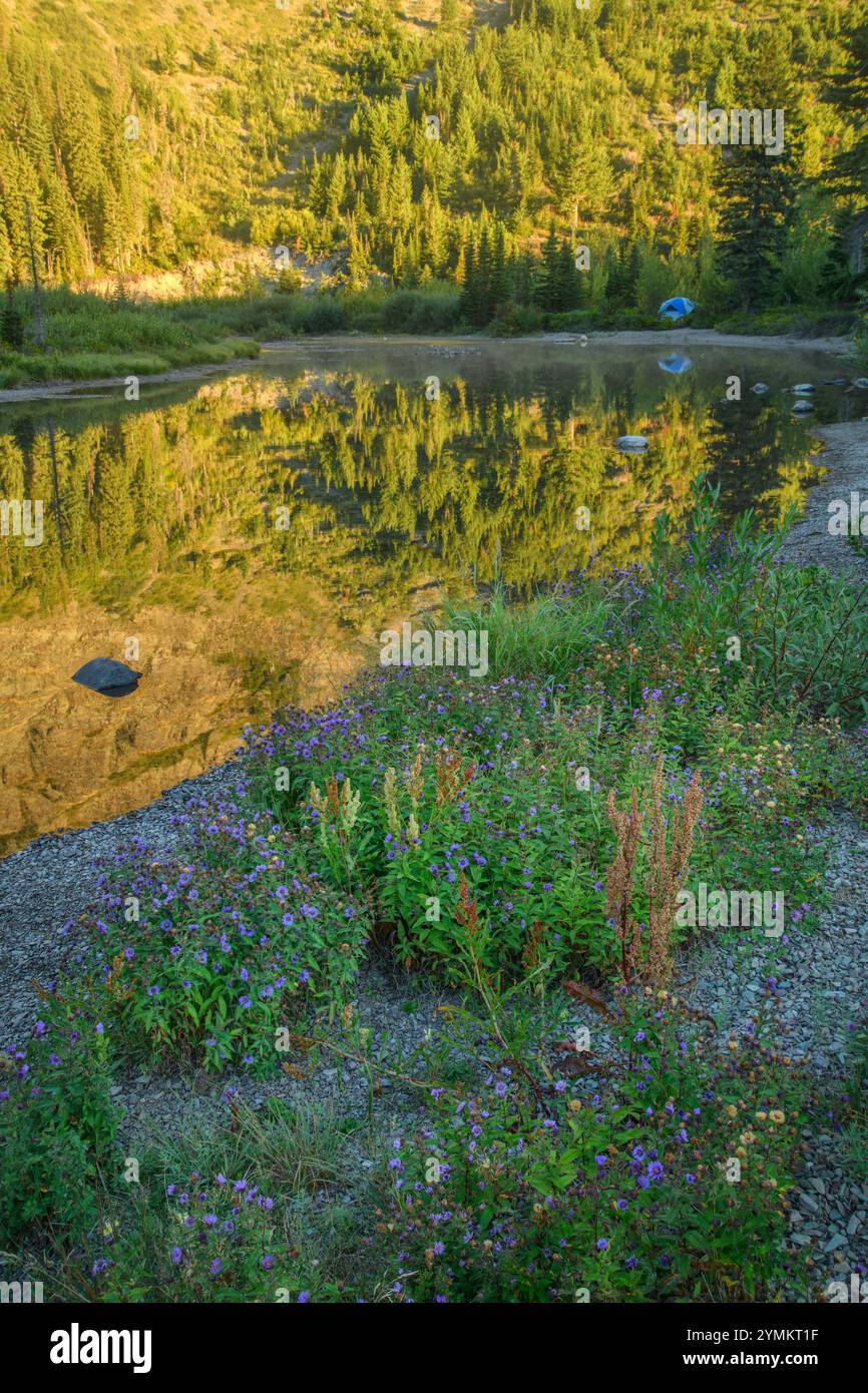 USA,Montana,Waterton-Glacier International Peace Park, Glacier National ...