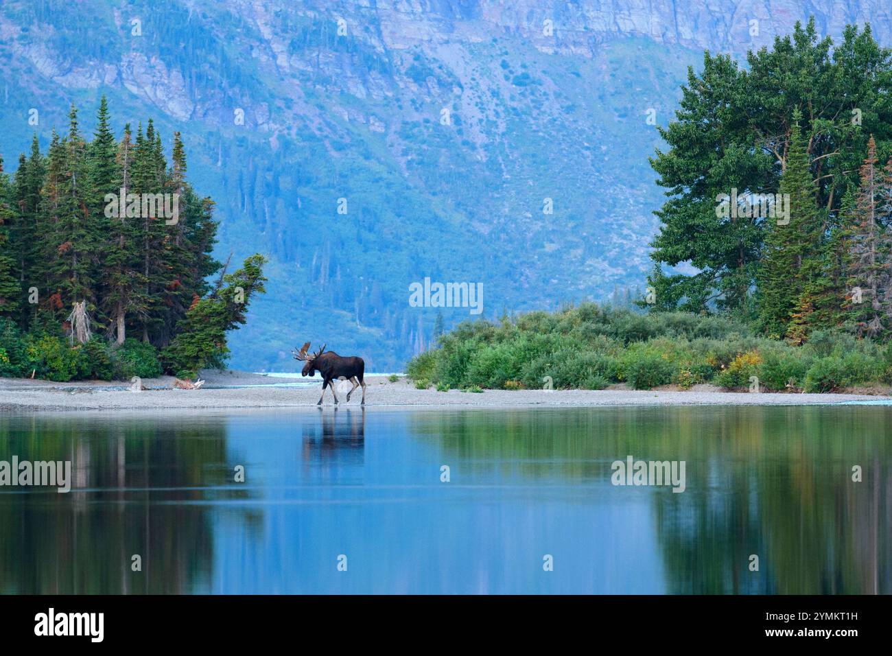 USA,Montana,Waterton-Glacier International Peace Park, Glacier National ...