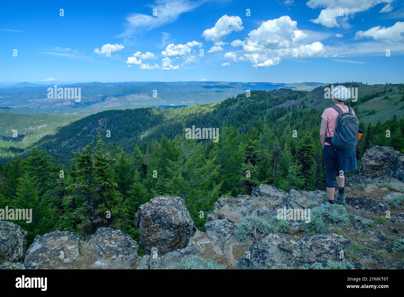 USA, Oregon,Prineville, Ochoco National Forest, Crooked River National ...