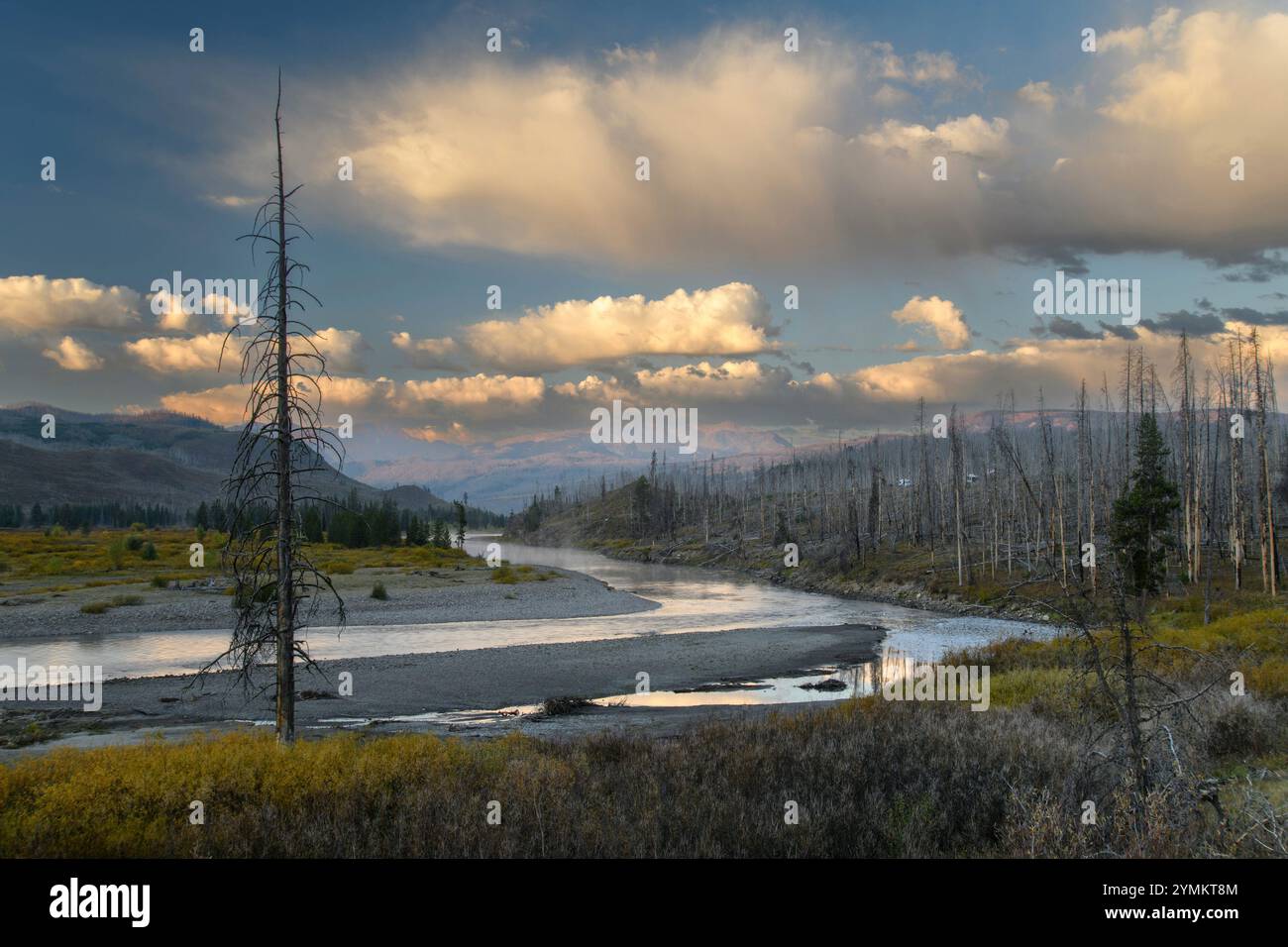USA, Wyoming, Snake River, Greater Yellowstone Ecosystem, Rockefeller ...