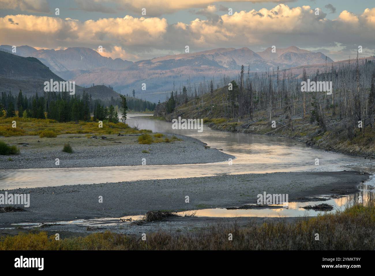 Rockefeller forest hi-res stock photography and images - Alamy