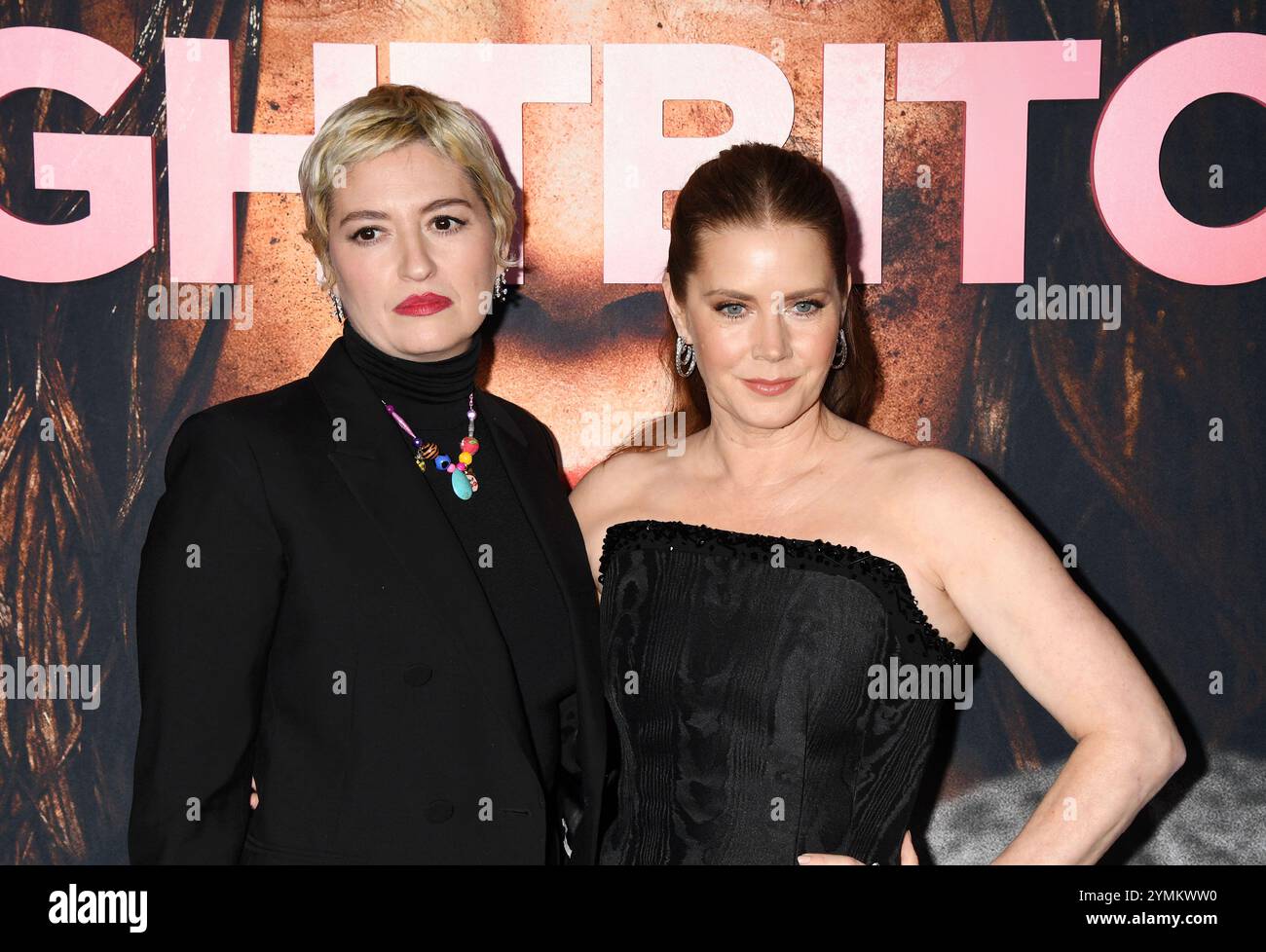 Amy adams _20 red carpet event hi-res stock photography and images - Alamy