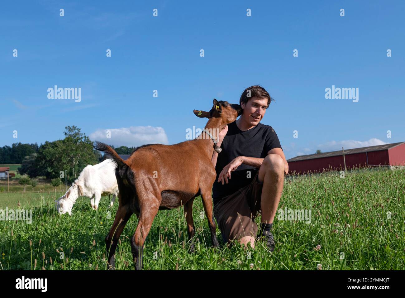 Käserei schweiz hi-res stock photography and images - Alamy
