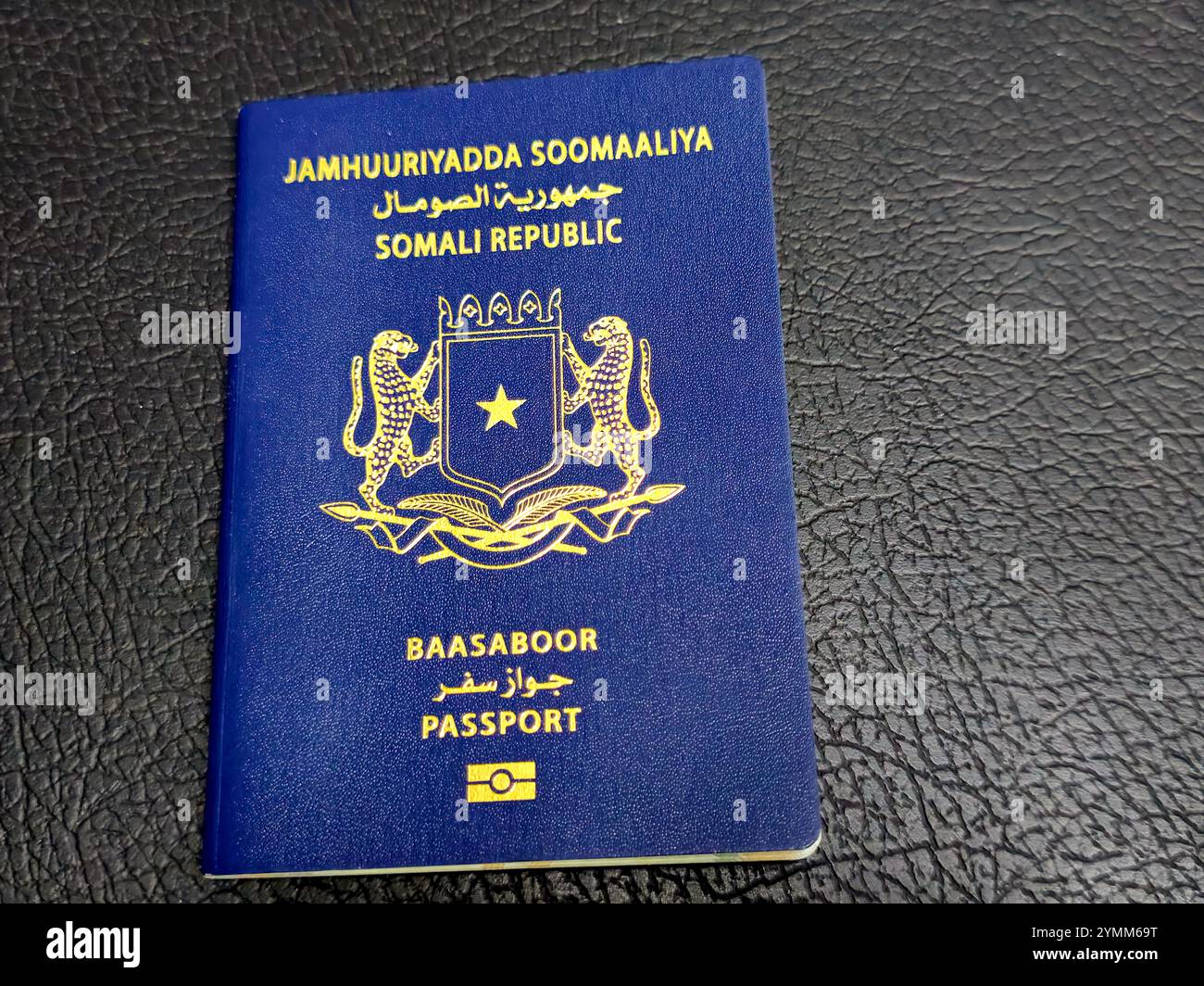 Somali republic passport, a passport issued to citizens of Somalia for ...