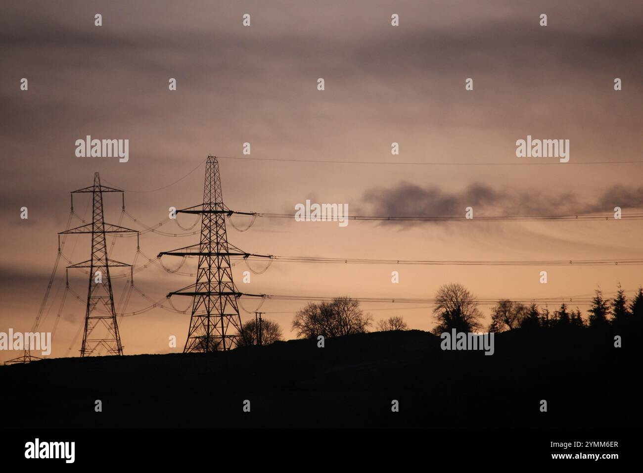 A photograph of electricity pylons in a natural landscape at dusk ...